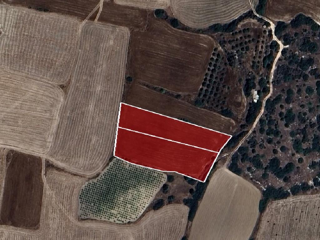 Fields - Avdimou, Limassol - CG10835 - Altamira Real Estate