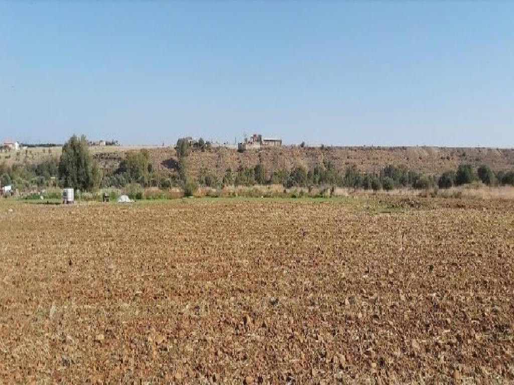 Field for sale, Orounta - PR36557 - Altamira Real Estate