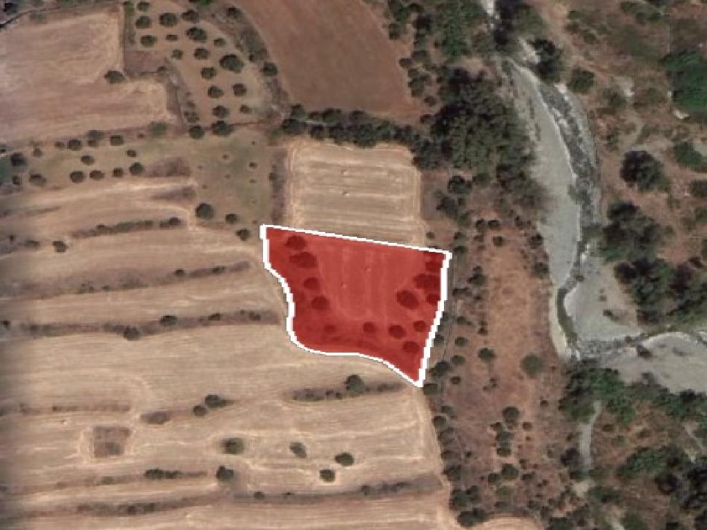 Field for sale, Orounta - PR36557 - Altamira Real Estate