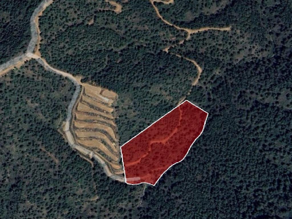 Field for sale, Kampia - PR11951 - Altamira Real Estate