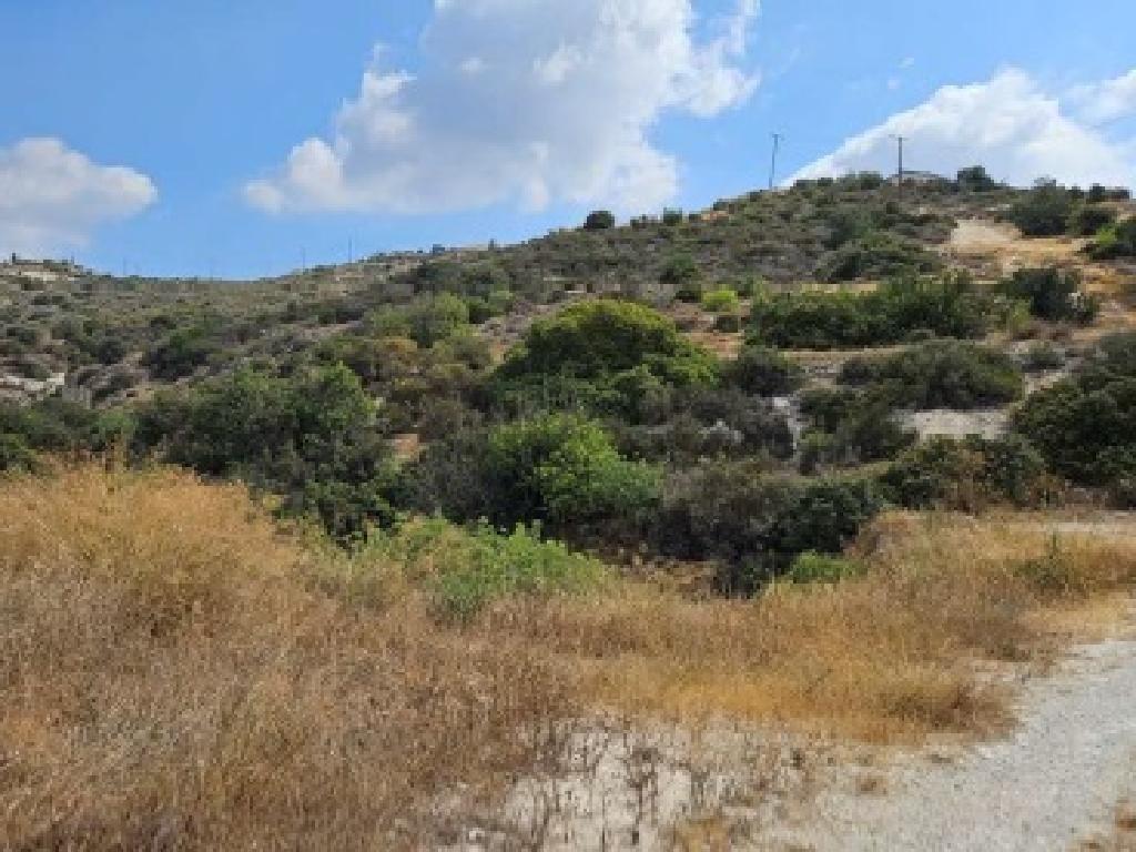 Field for sale, Skarinou - PR40650 - Altamira Real Estate