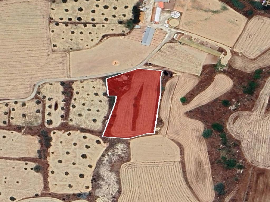 Field for sale, Tseri - PR40994 - Altamira Real Estate