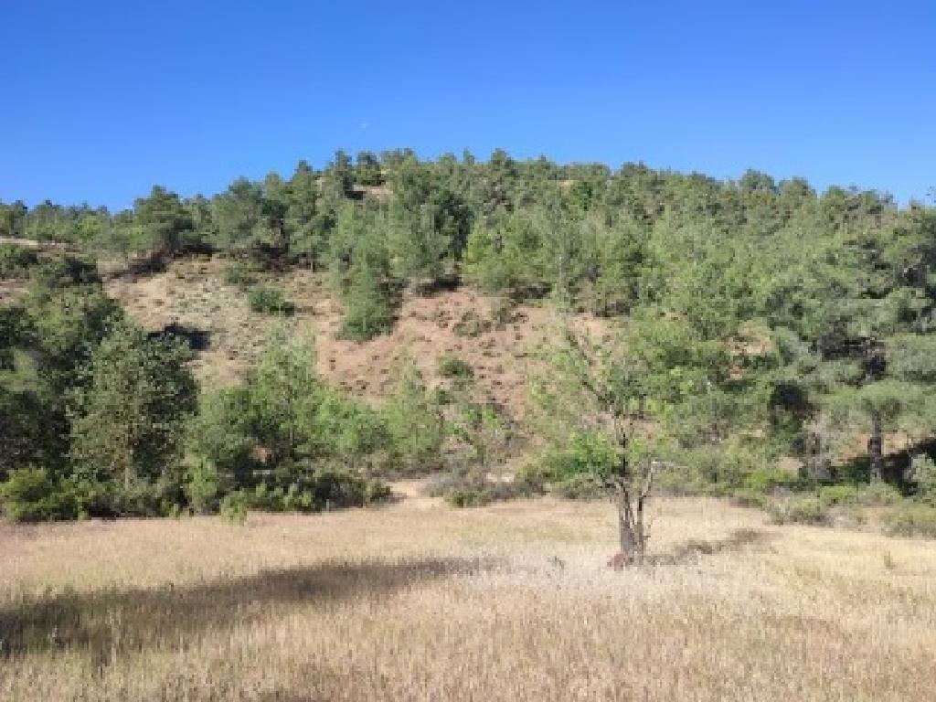 Field for sale, Farmakas - PR39064 - Altamira Real Estate