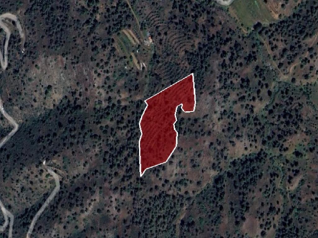 Field for sale, Farmakas - PR39064 - Altamira Real Estate